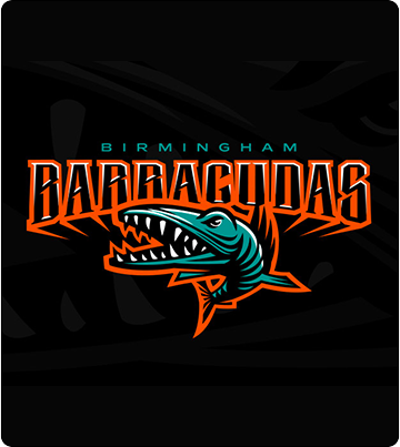 Custom Logo Design Services | Hexa Digital Solutions